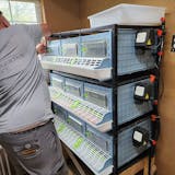 Game Bird Brooder Box - 3 Layer Quail Brooder | Cimuka, Hatching Time