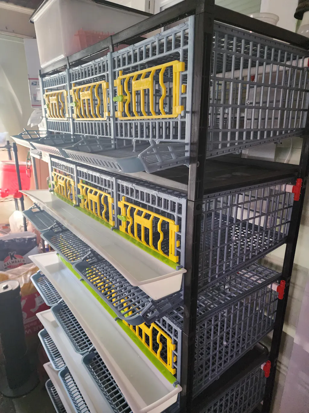 Quail Breeding Cage - 5 Layer (Easy Clean Quail Pen) | Hatching Time