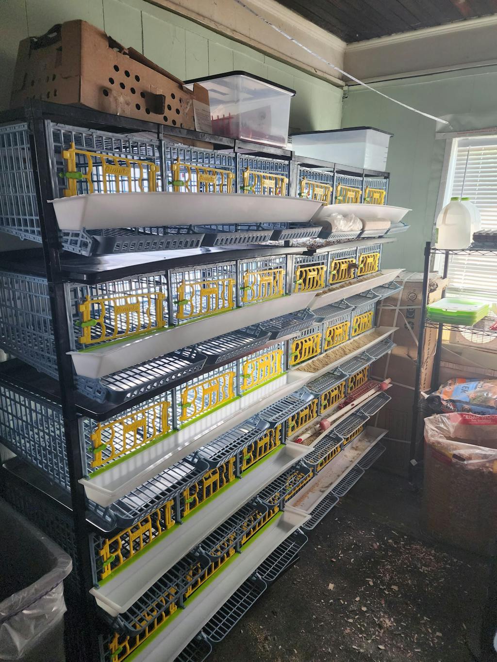 Quail Breeding Cage - 5 Layer (Easy Clean Quail Pen) | Hatching Time