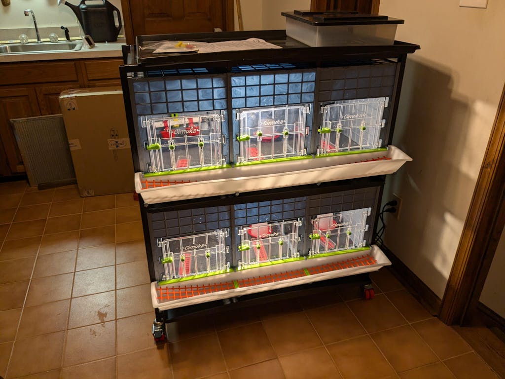 Chicken Brooder Box: 2 Layer Baby Chick Brooder | Hatching Time