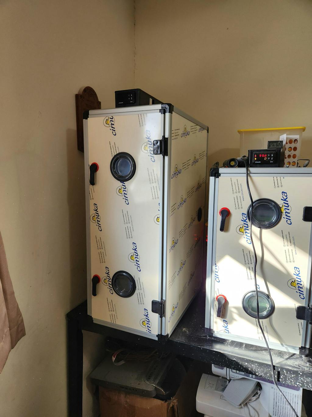 120 Chicken Egg Automatic Hatcher - CT120H | Hatching Time