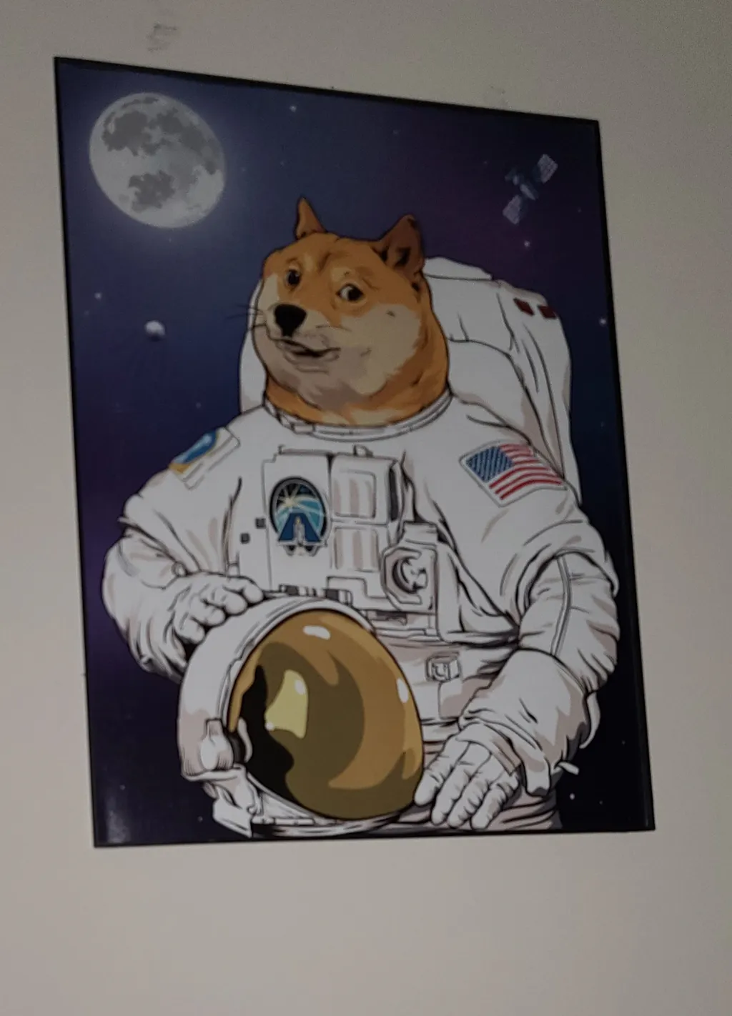 Doge astronaut – Haus and Hues
