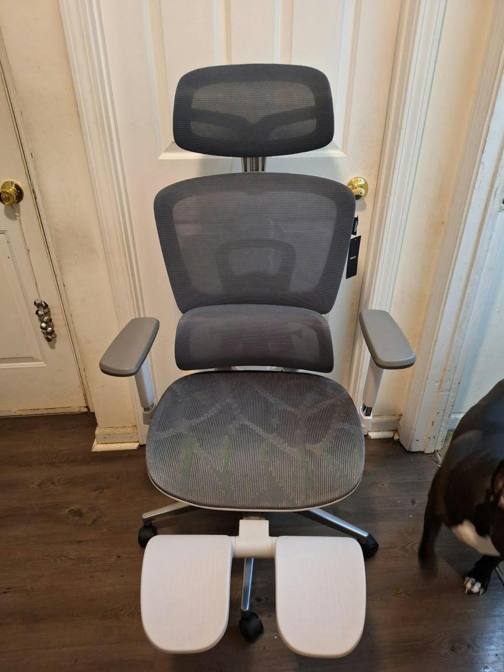 Hbada E2 Pro Ergonomic Office Chair without Footrest