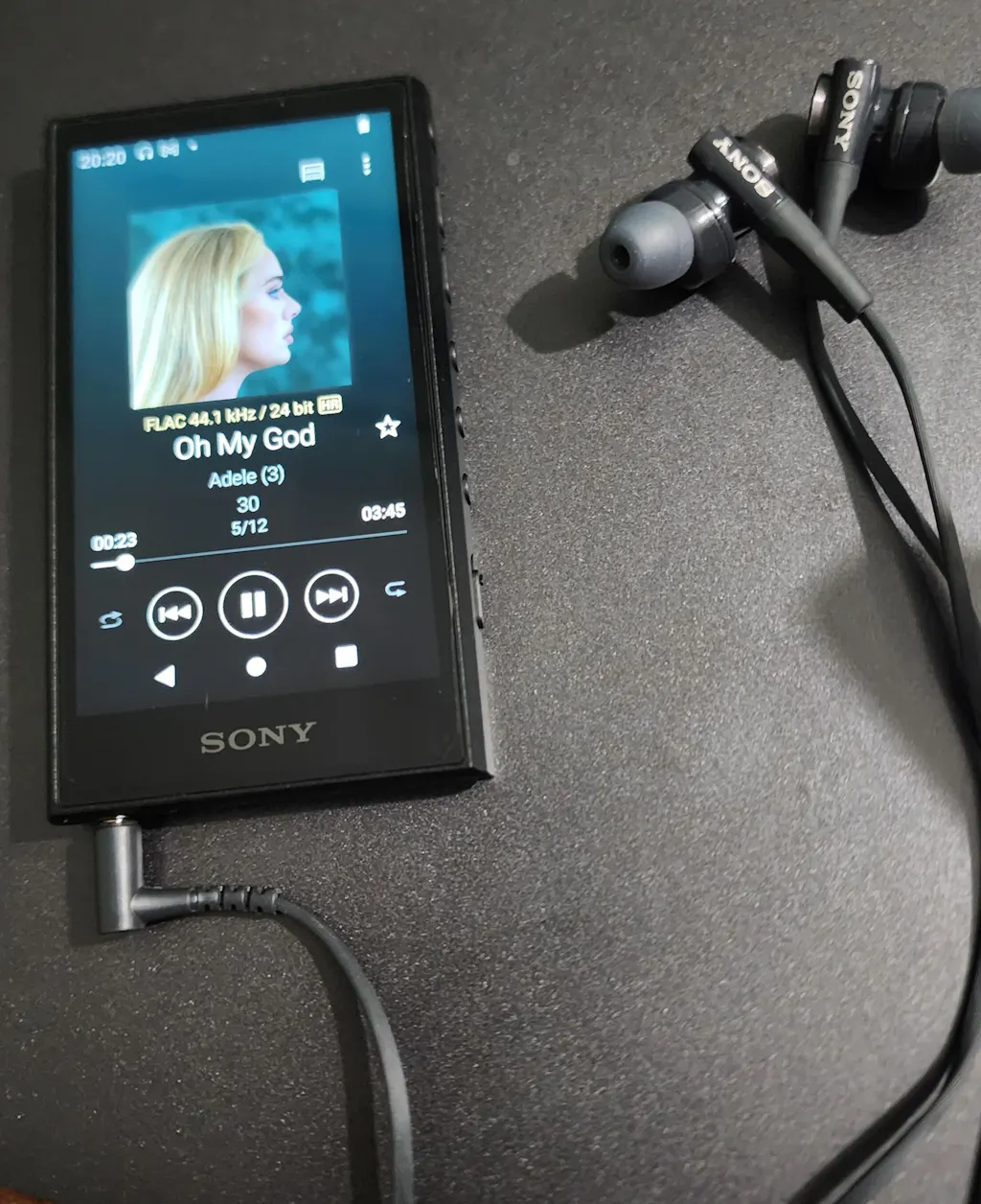 Sony NW-A306 Portable Audio Player