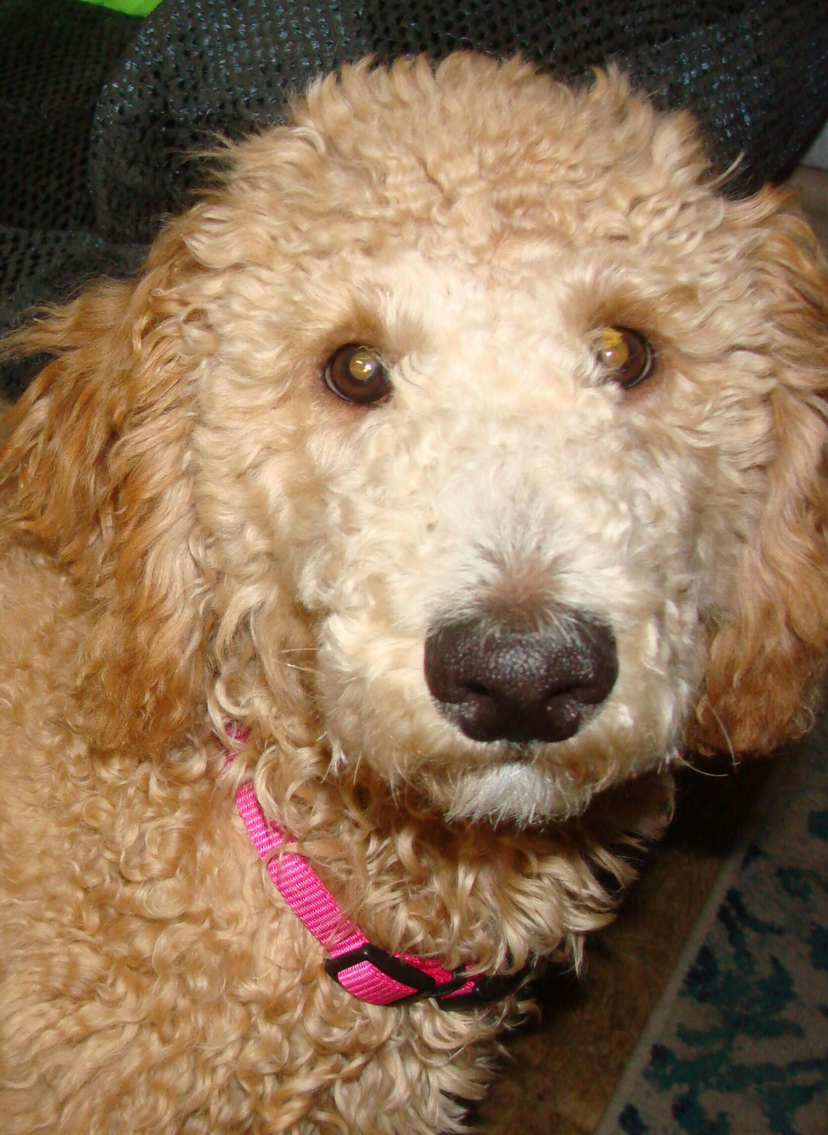 Hair & Skin Care – Health Ranger Store