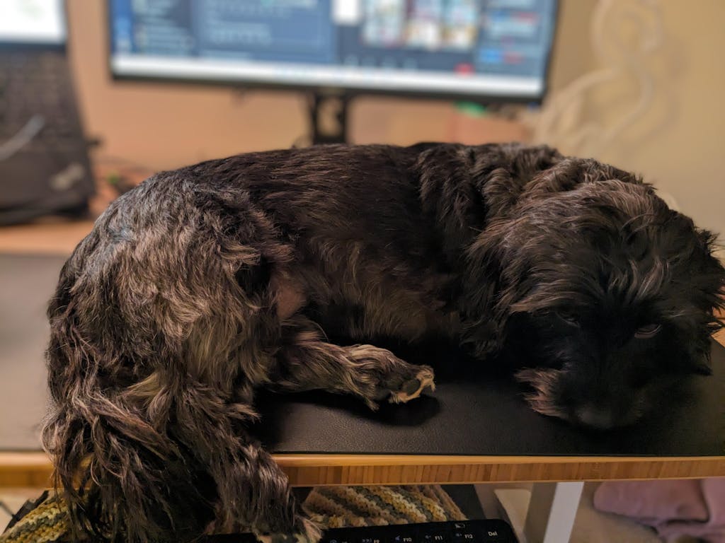 The Desk Hand Warmer - Heatka