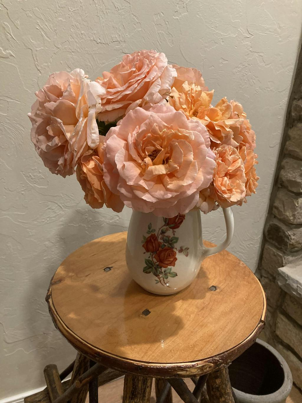 Polka Rose - Climbing Roses - Very Fragrant – Heirloom Roses