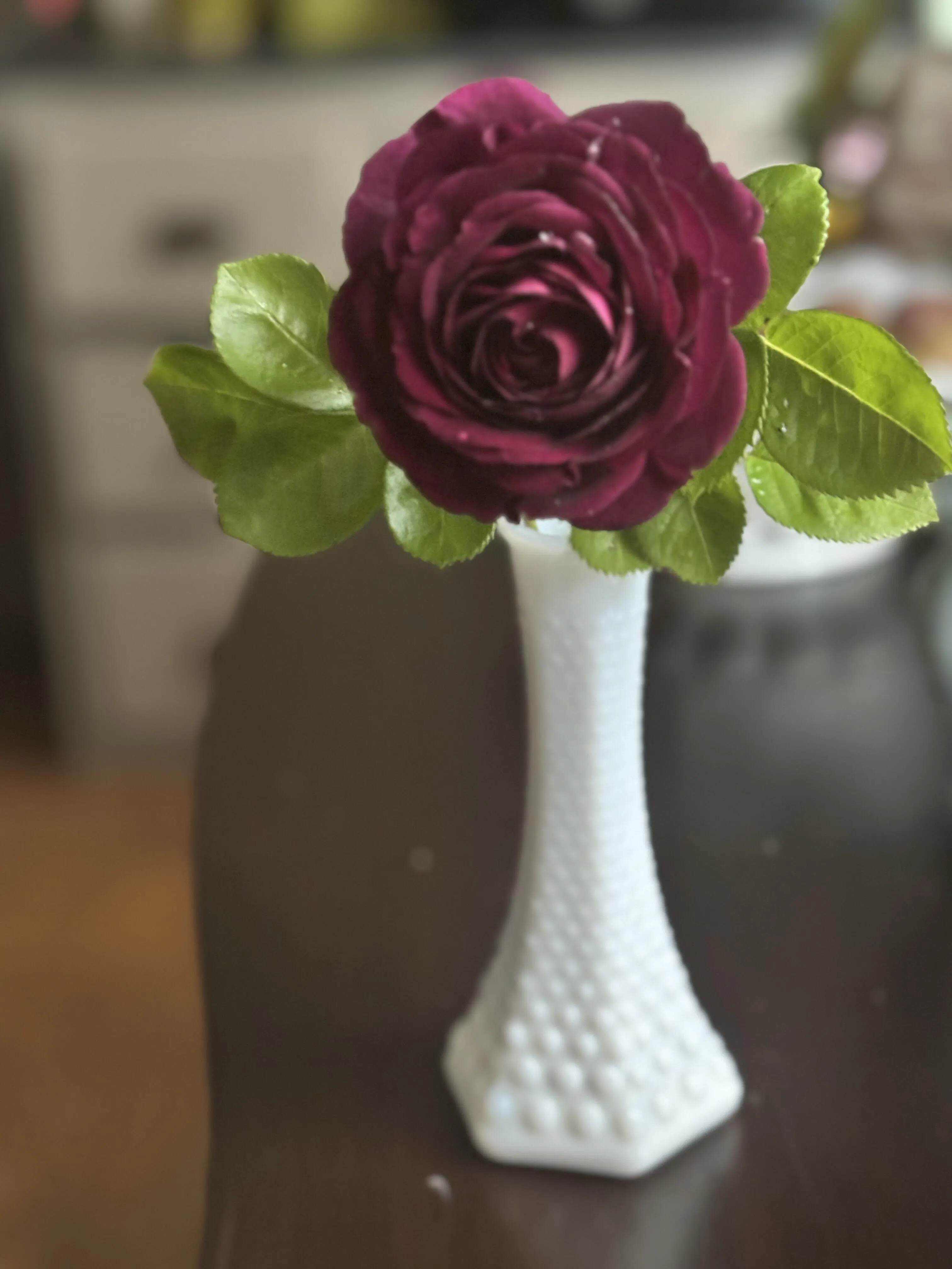 Twilight Zone Rose - Grandiflora - Very Fragrant – Heirloom Roses