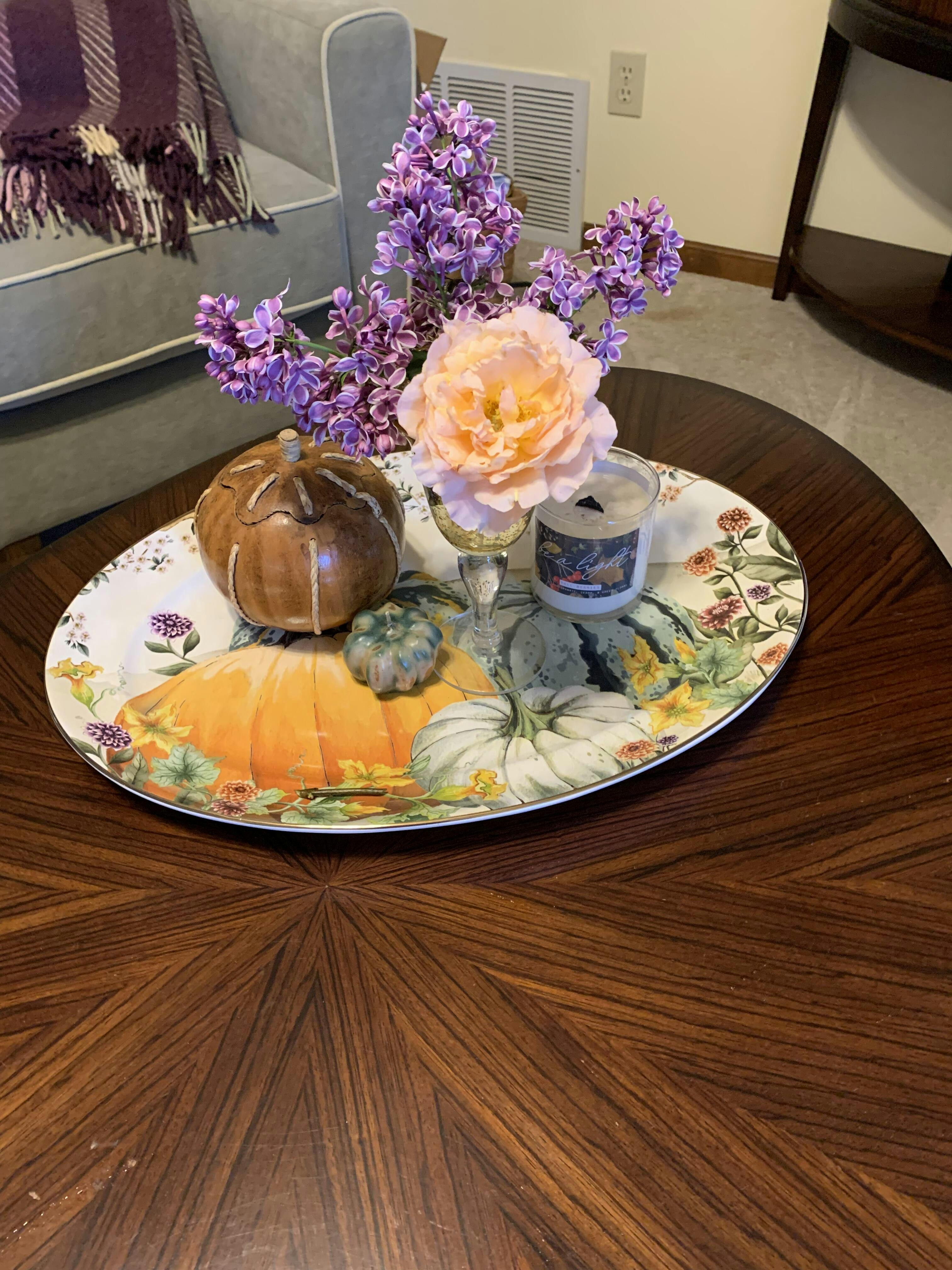 Polka Rose - Climbing Roses - Very Fragrant – Heirloom Roses