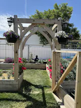 Highwire Flyer – Heirloom Roses