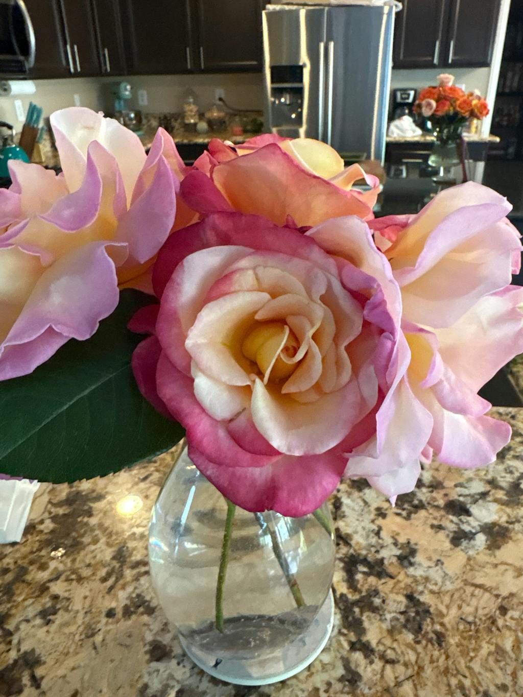 Granada Hybrid Tea Rose | Fragrant Rose Plant – Heirloom Roses