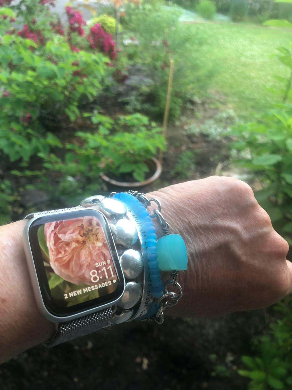 Colette Climbing Rose | Fragrant Rose Bush – Heirloom Roses