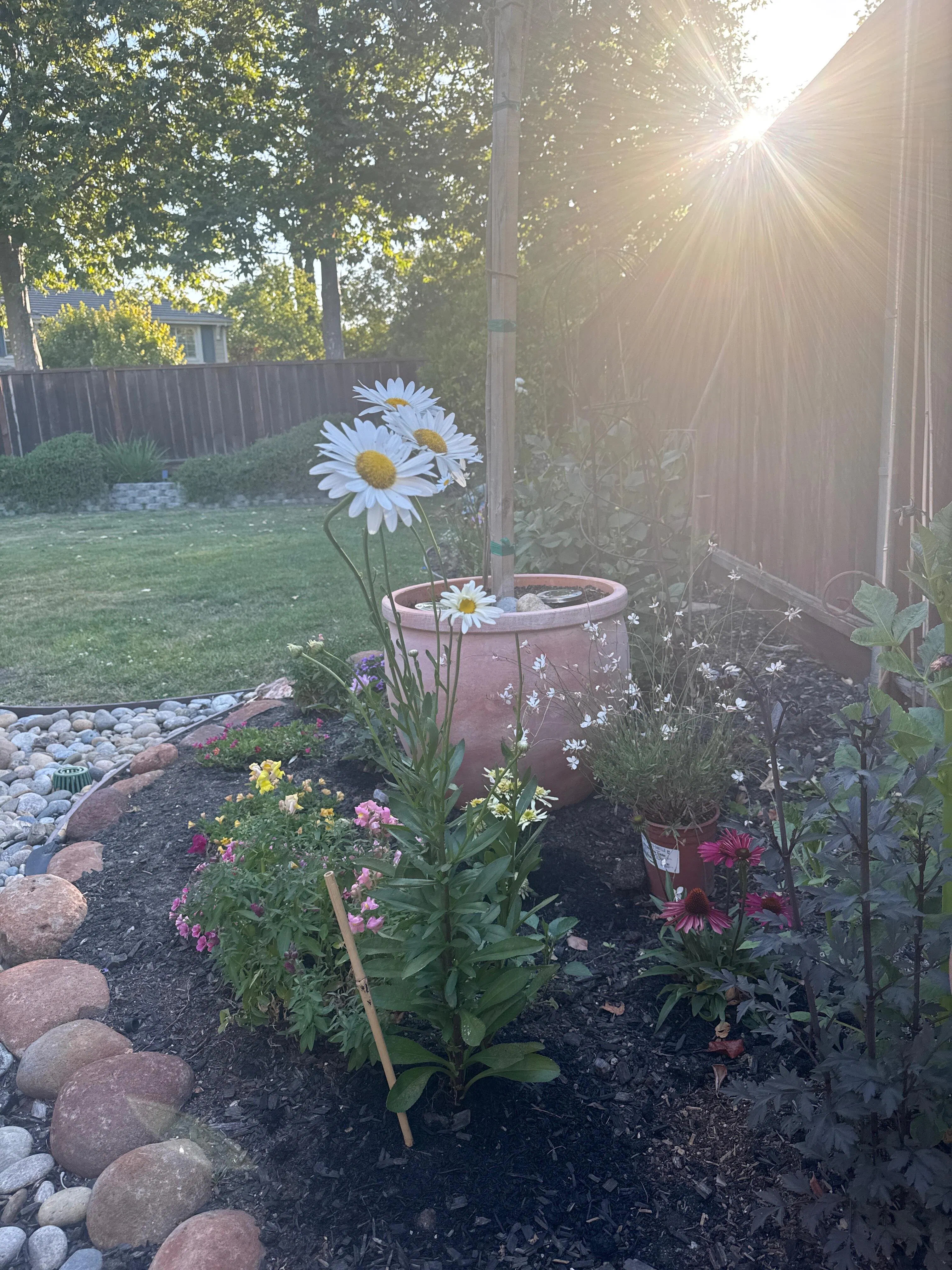 Becky – Heirloom