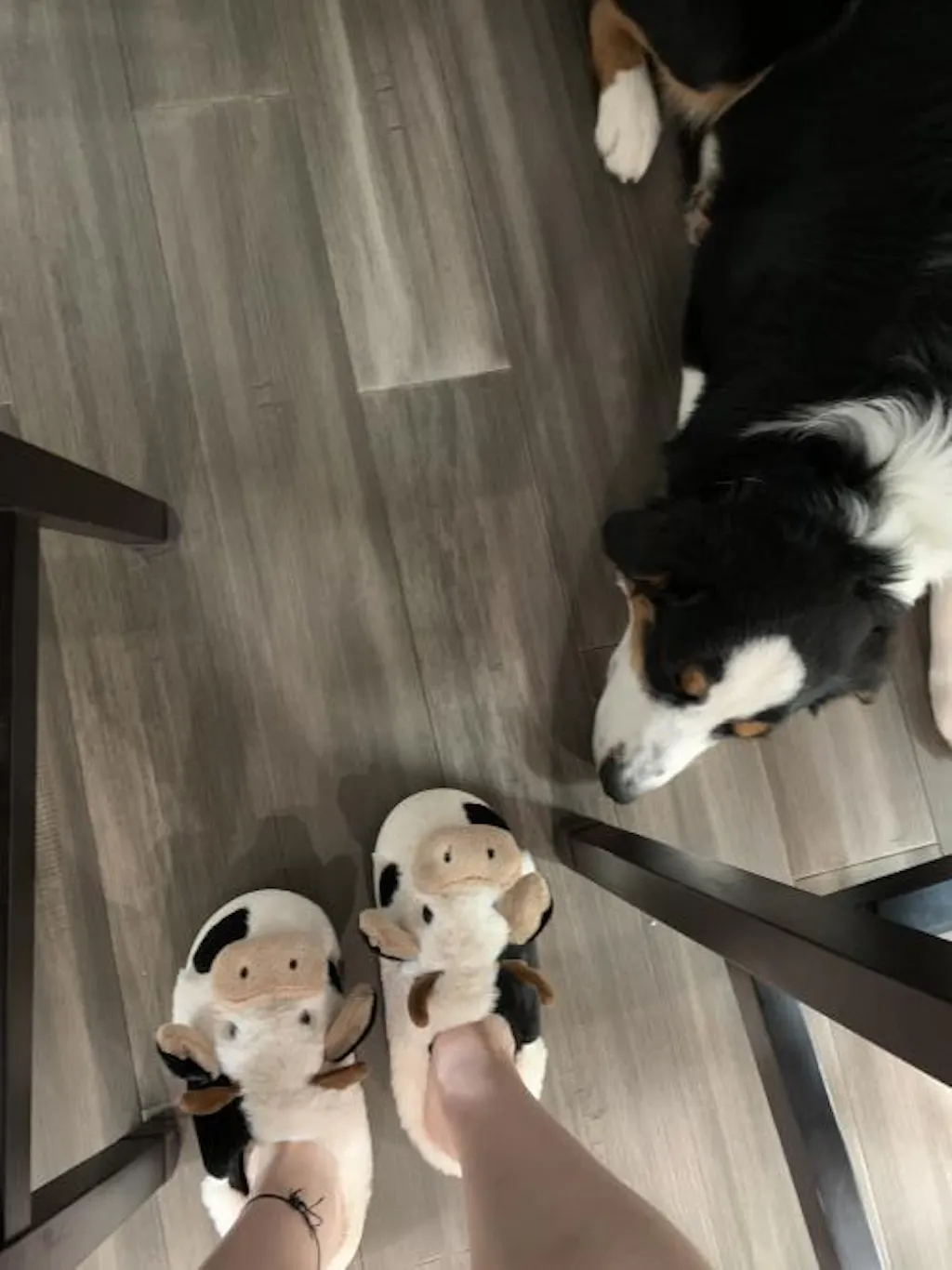 Cara – Hello Slippers