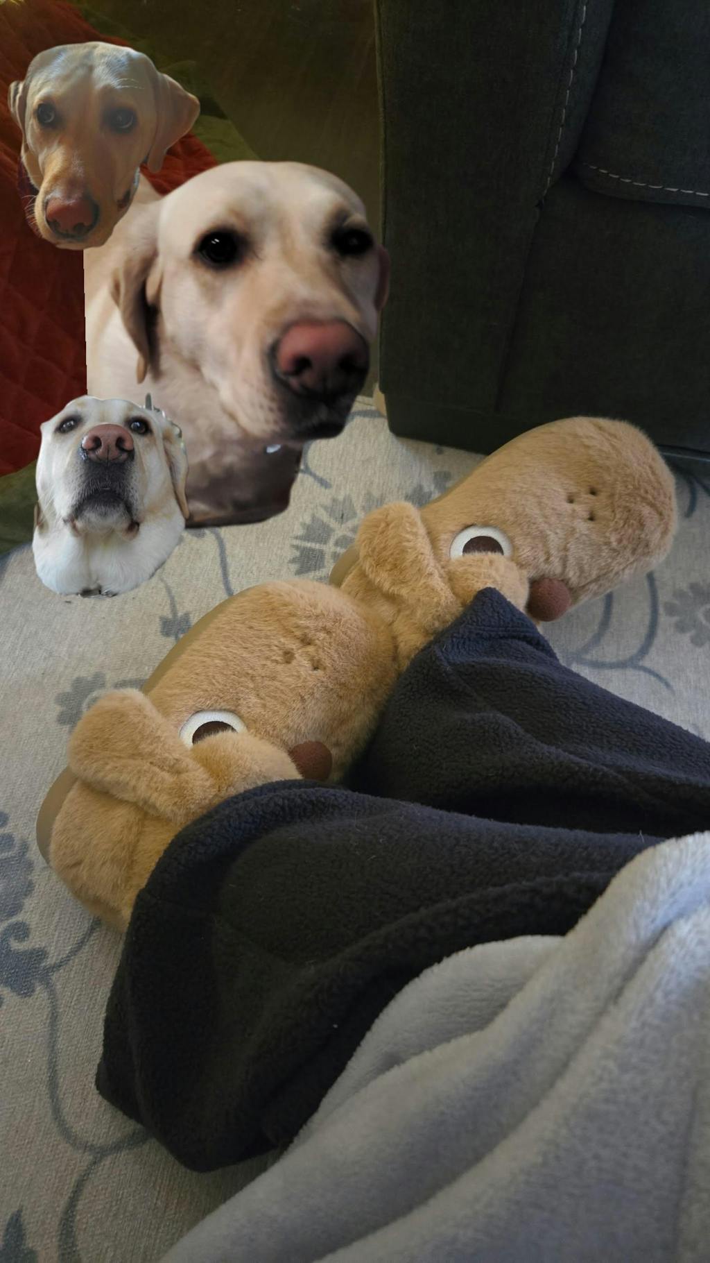 Barky Boots: Adorable Plush Puppy Slippers for Ultimate Comfort – Hello ...