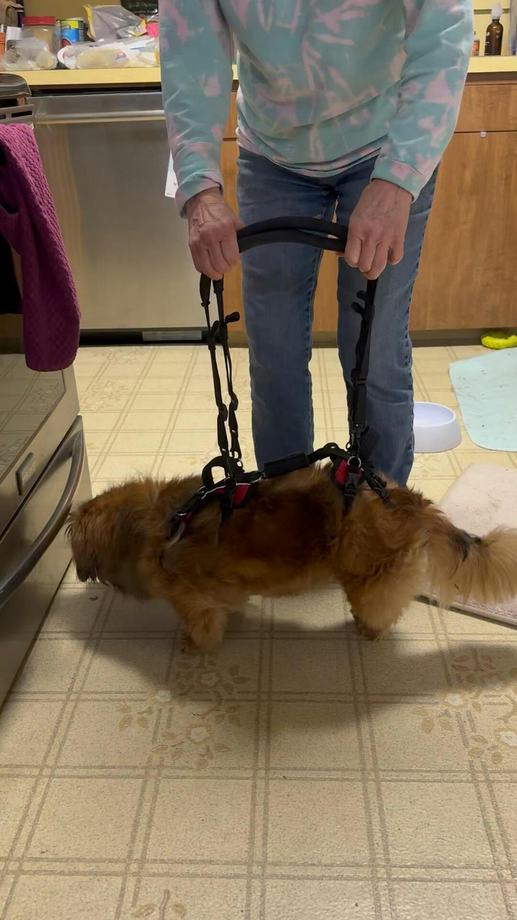 Walking Loop Handles – Help 'Em Up