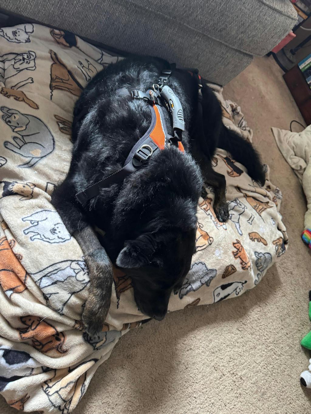 Walking Handle – Help 'Em Up