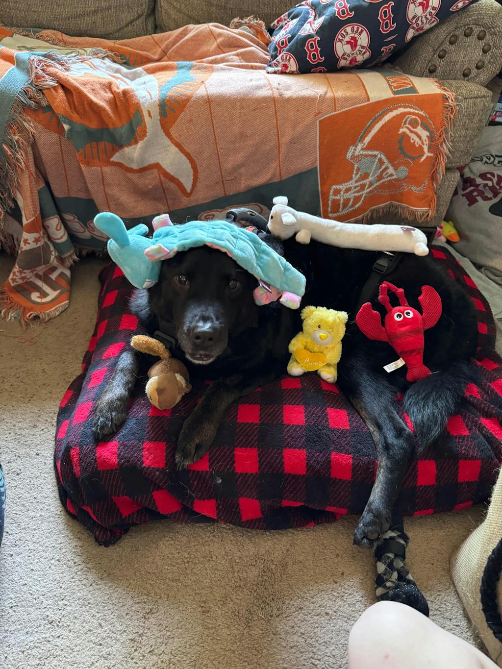 Walking Handle – Help 'Em Up