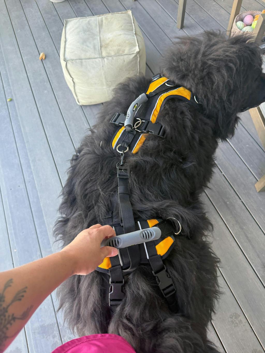 Help 'Em Up Harness - Support Small, Medium, & Large Dogs