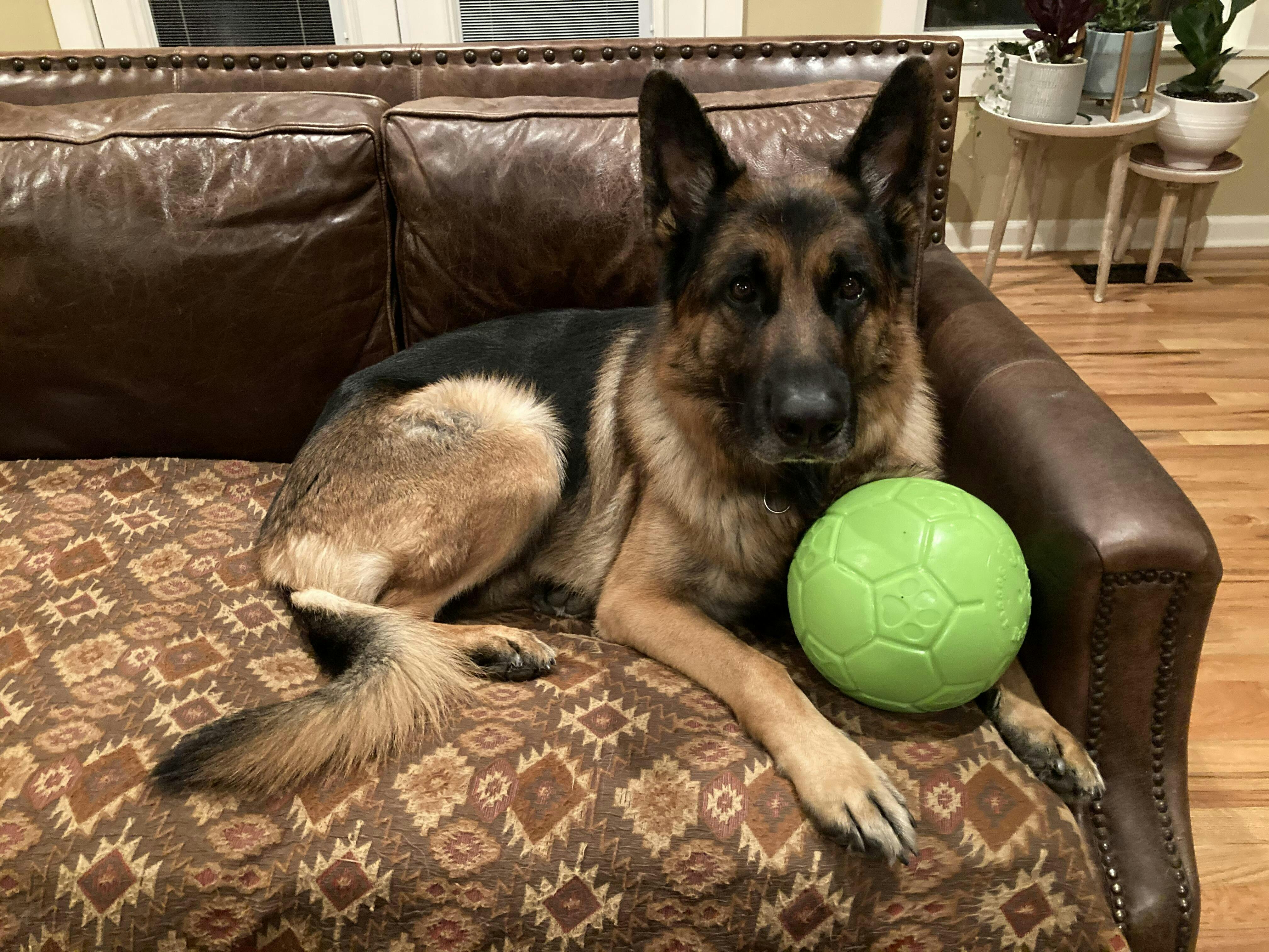 Full Spectrum Hemp Extract 3000MG | Hemp Factory Outlet by HFO