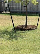 Core Steel Brown Tree Ring | Henderson Garden Supply
