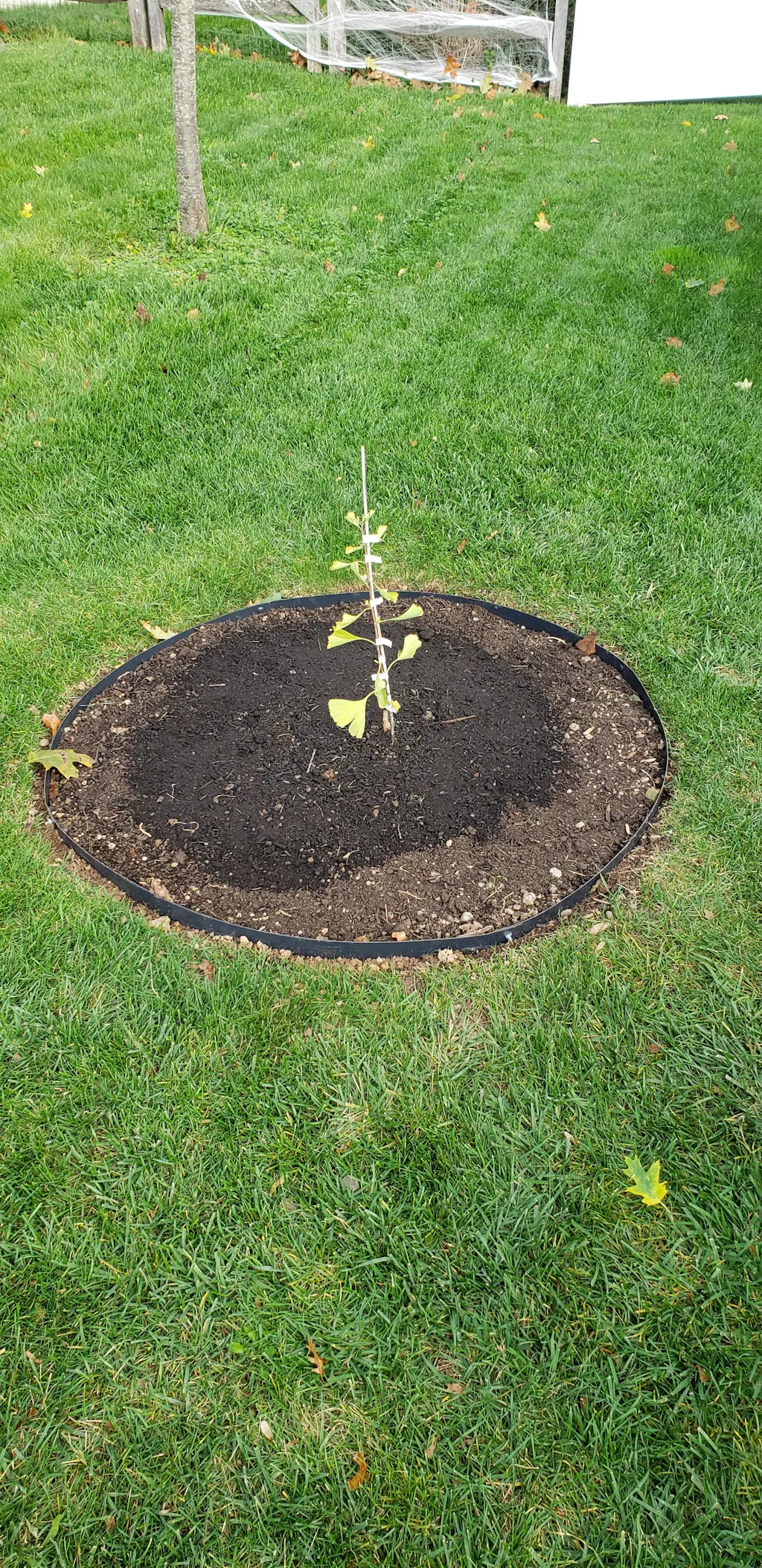 Henderson Garden Supplier of Everedge, Straightcuve CorTen, Arbors ...