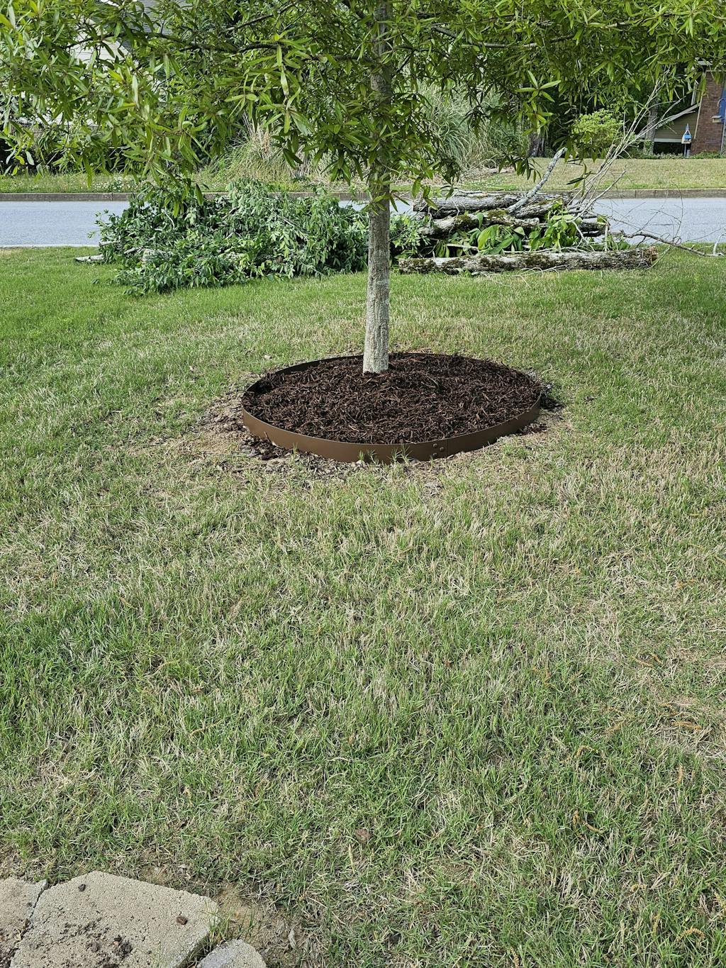 Core Steel Brown Tree Ring | Henderson Garden Supply