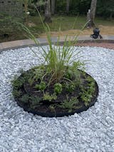 Core Steel Large Black Tree Rings | Henderson Garden Supply