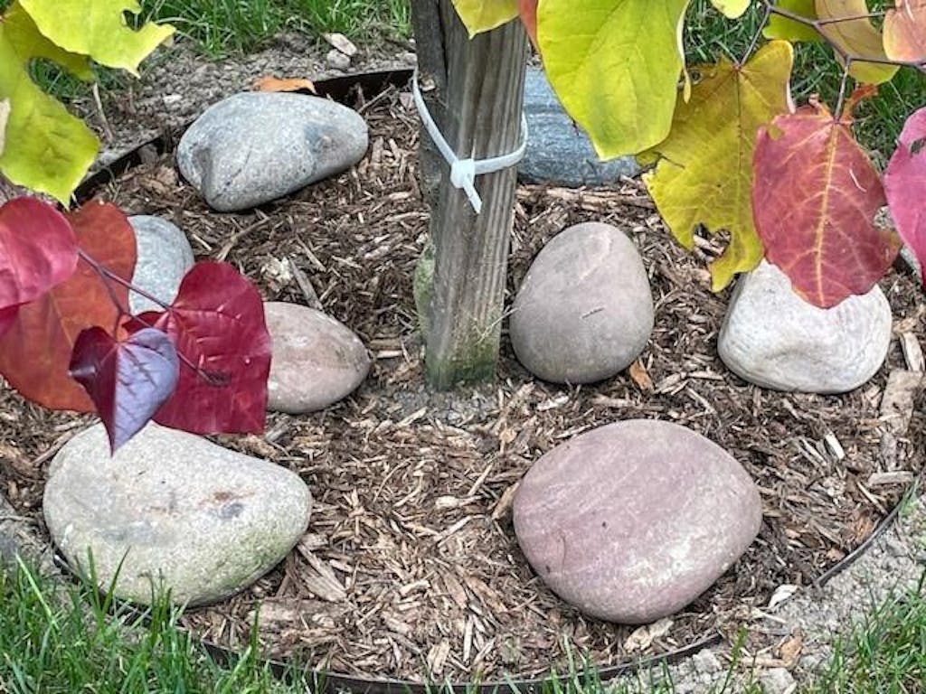 EverEdge Brown Steel Tree Ring | Henderson Garden Supply