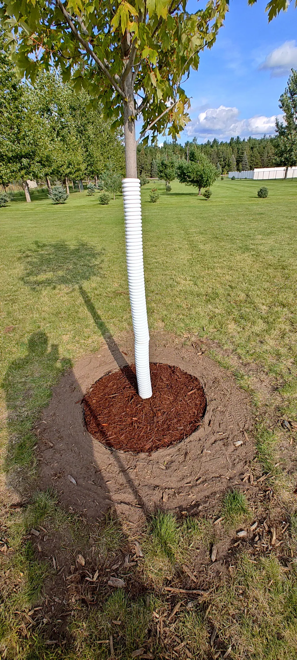 Henderson Garden Supplier of Everedge, Straightcuve CorTen, Arbors ...