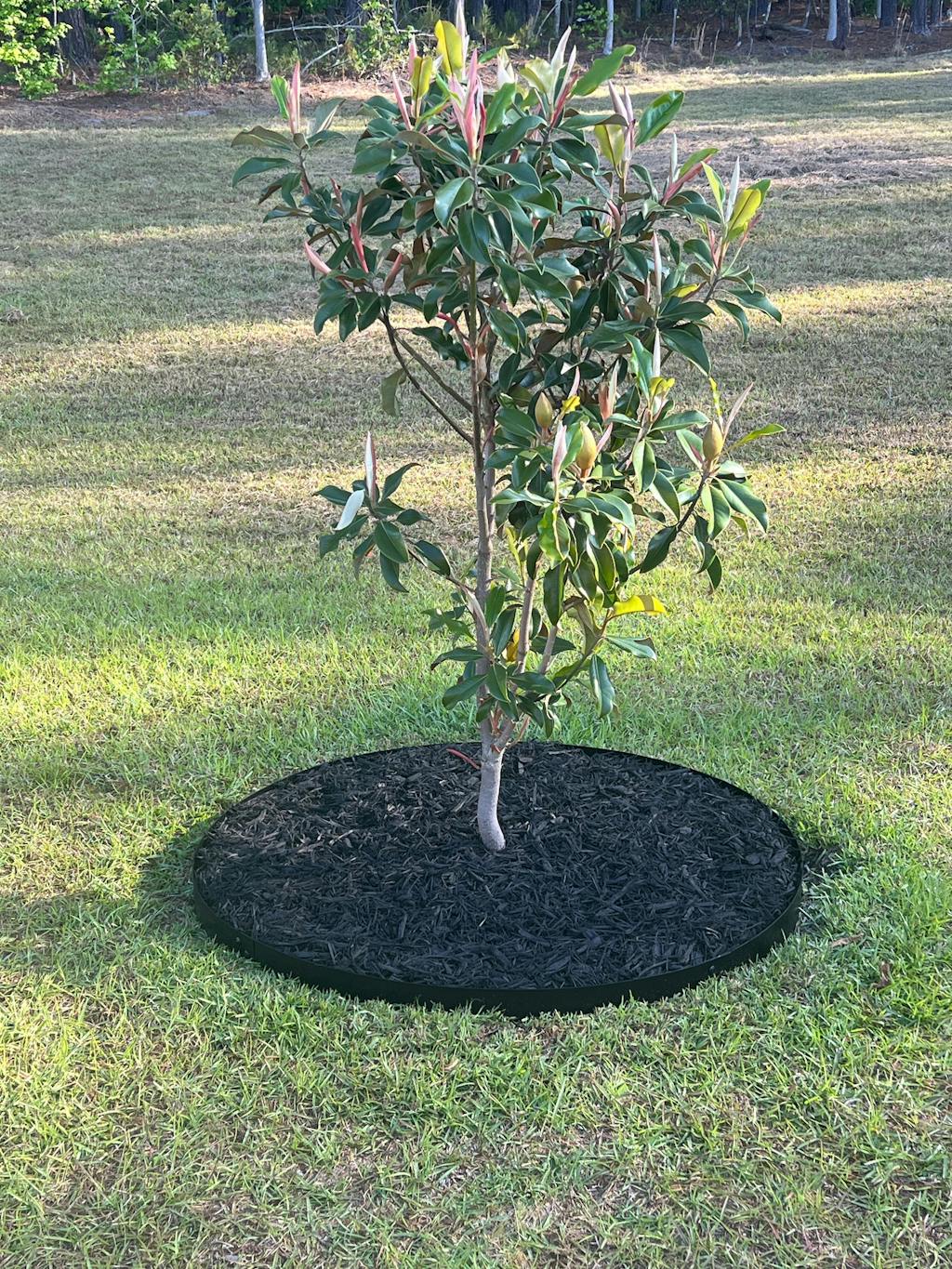 Metal Tree Rings | Core Tree Rings | Henderson Garden Supply