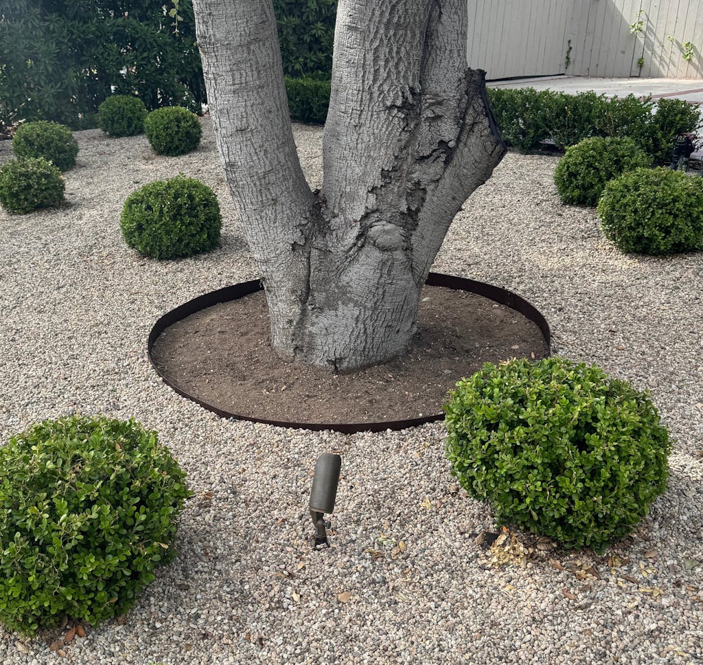 Metal Tree Rings | Core Tree Rings | Henderson Garden Supply