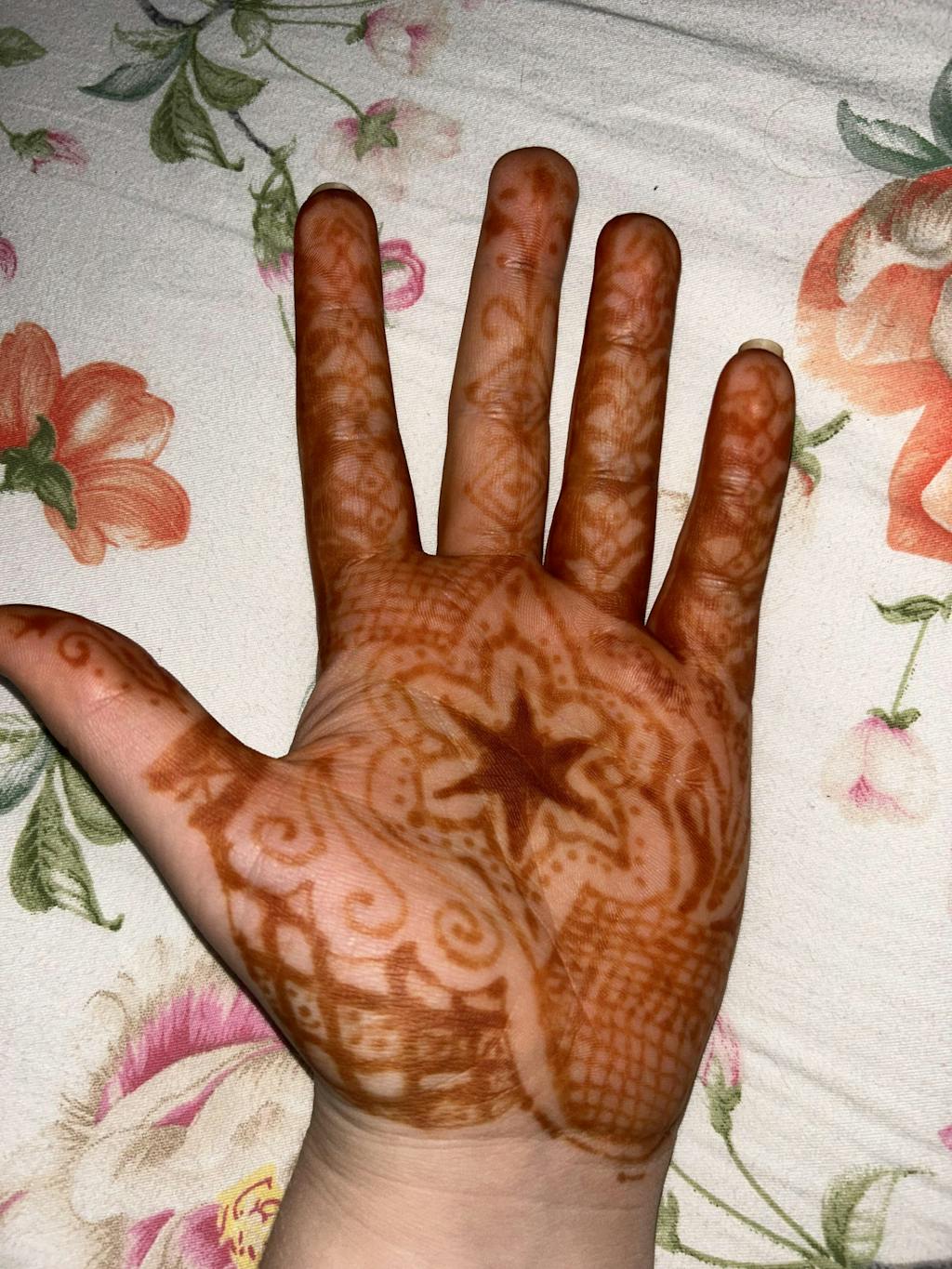 Organic Rajasthani Indian Henna Hair Dye – Henna Sooq