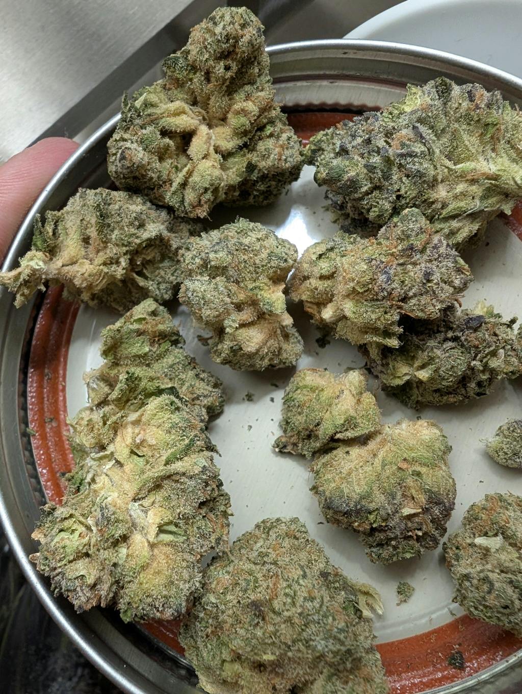 Dream Catcher – Herbal Dispatch