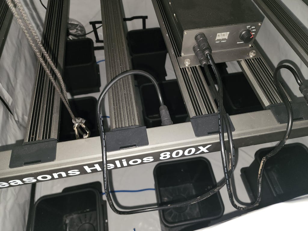 LED Grow Lights | 4Seasons- HELIOS 1000X | Herbal House NZ