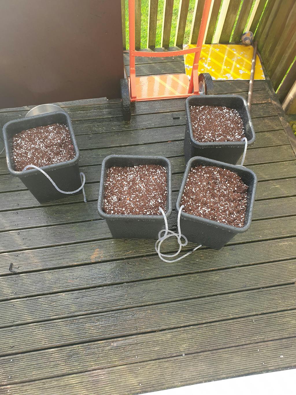 AutoPot 4pack Starter Kit | Herbal House NZ