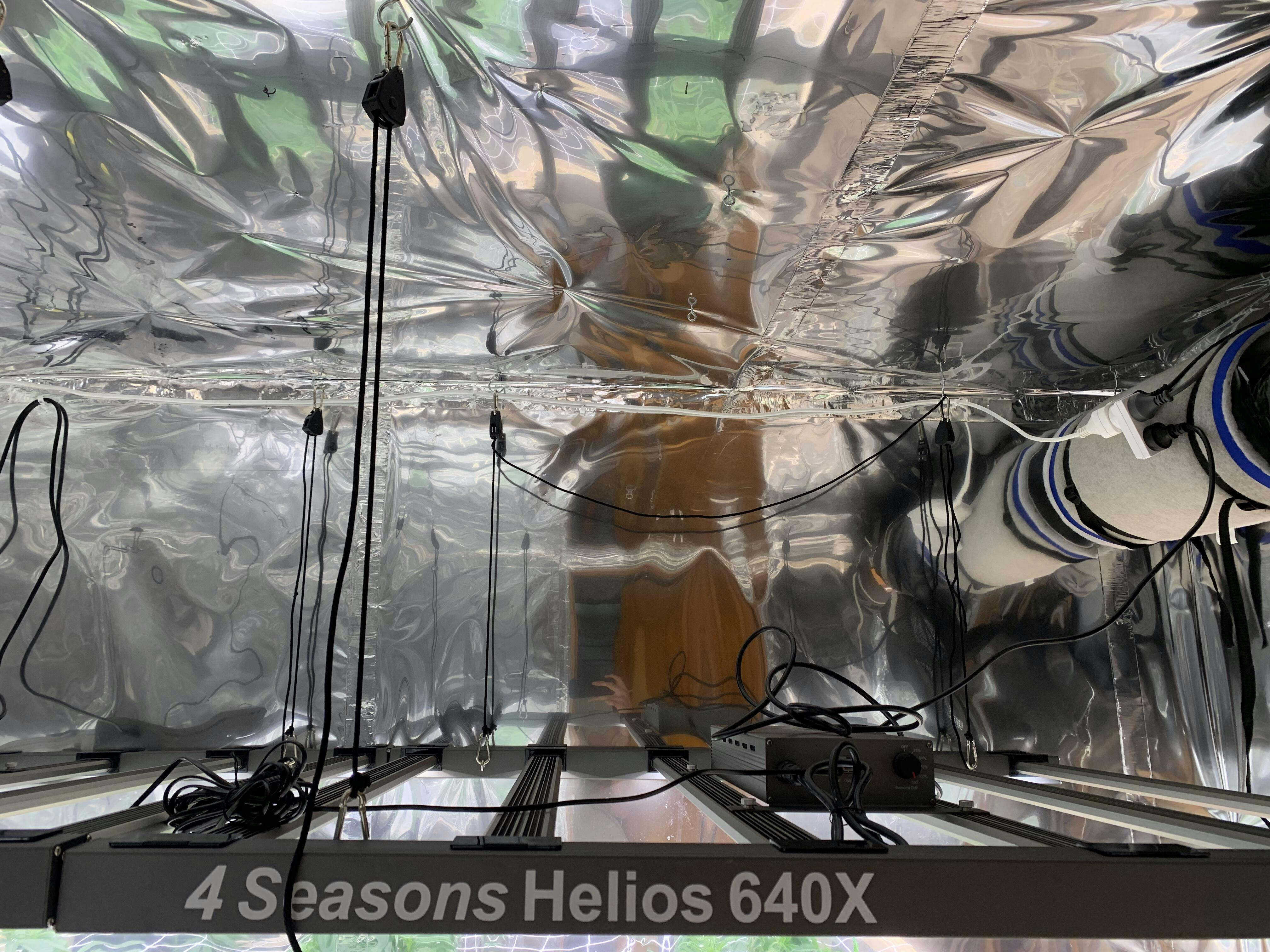 4Seasons HELIOS 640X LED Grow Light | Herbal House NZ