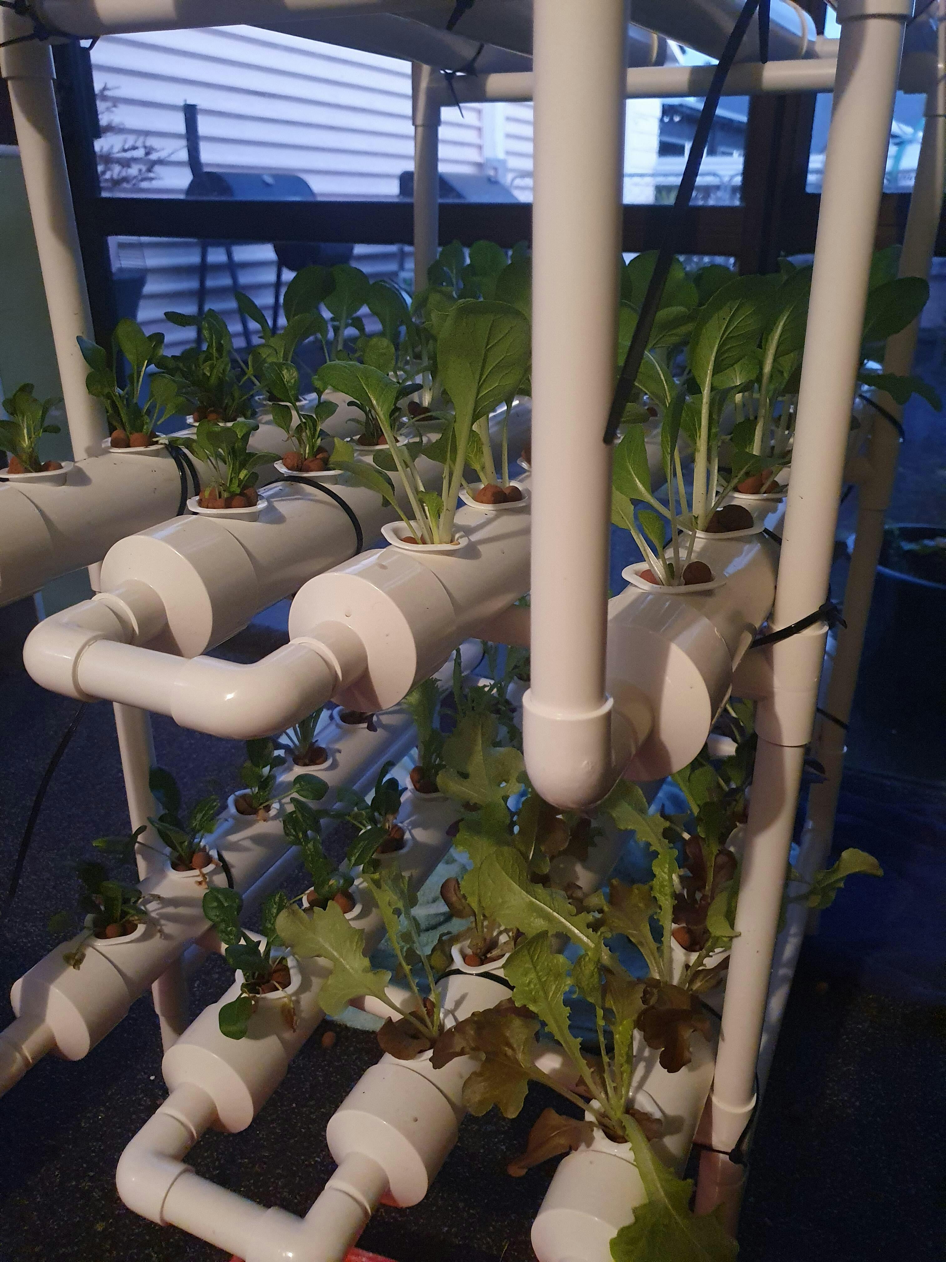Hydroponic Tower Kit | Herbal House