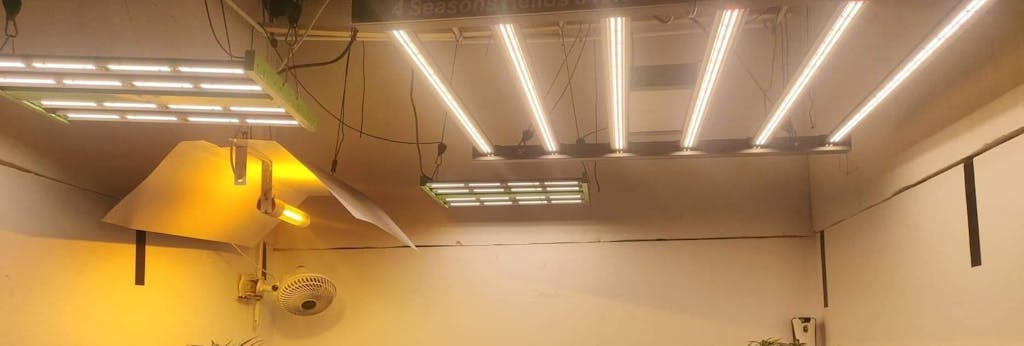 4Seasons HELIOS 640X LED Grow Light | Herbal House NZ