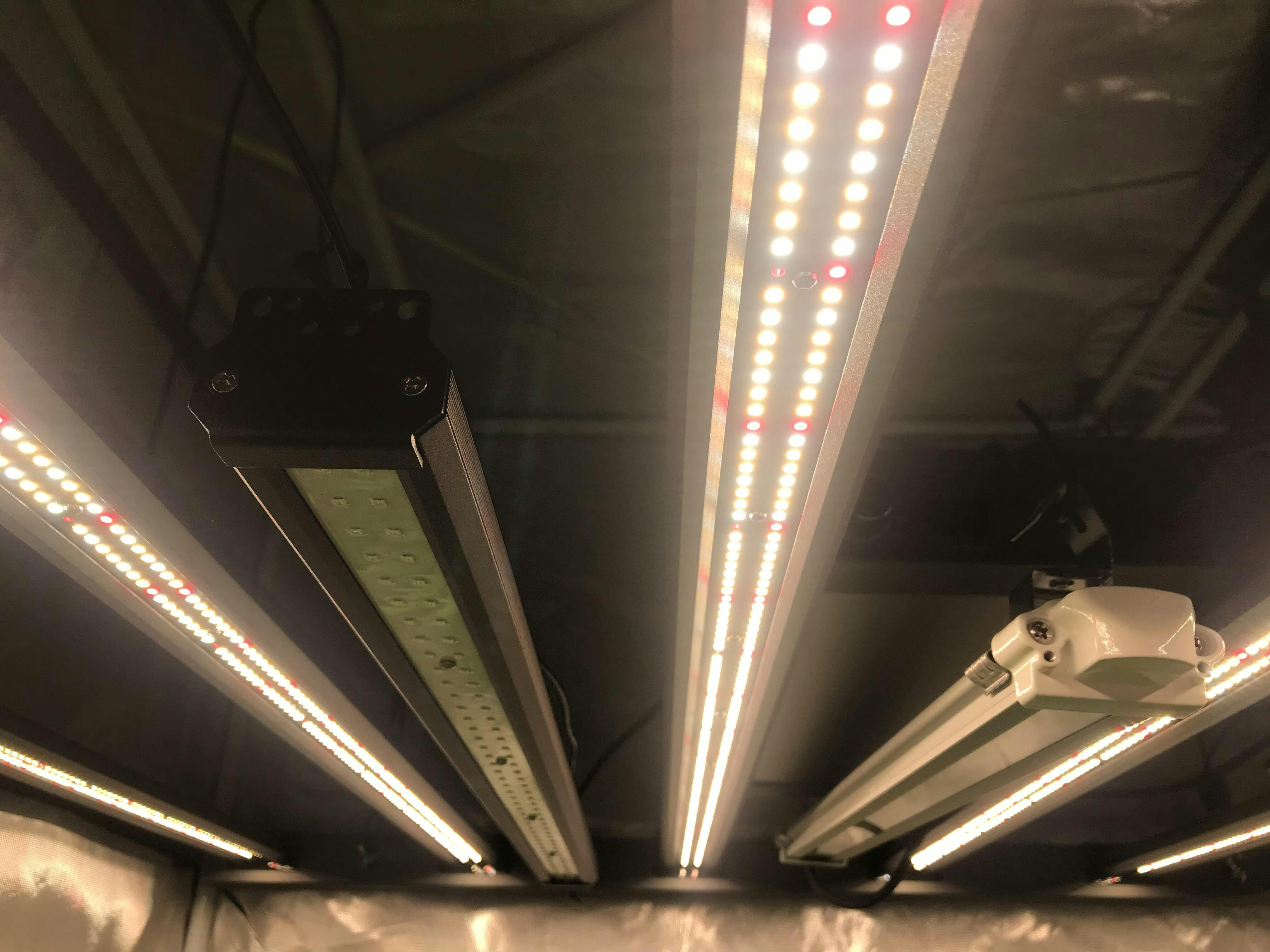 4Seasons HELIOS 640X LED Grow Light | Herbal House NZ