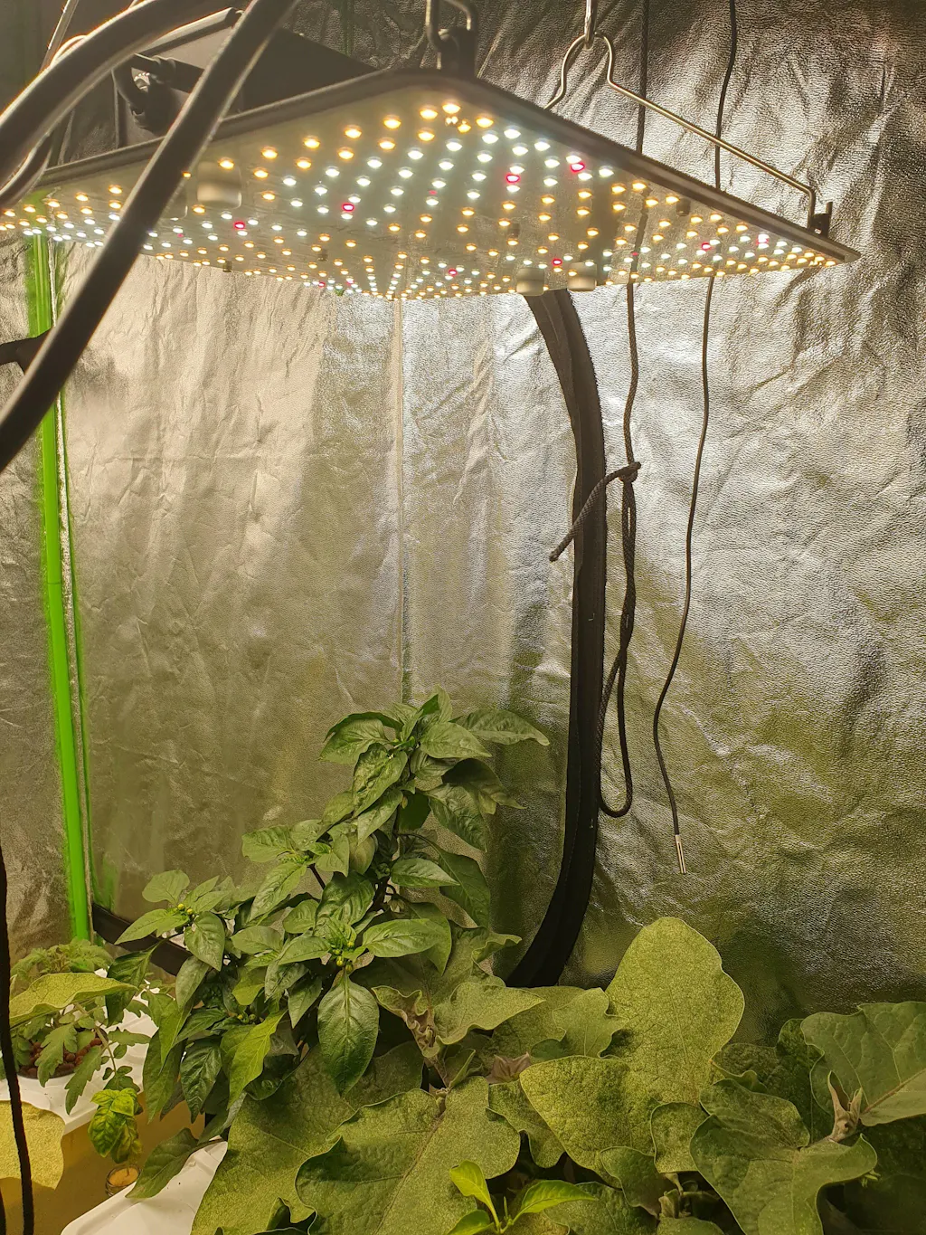 AC INFINITY IONBOARD S22 100w LED Grow Light | Herbal House