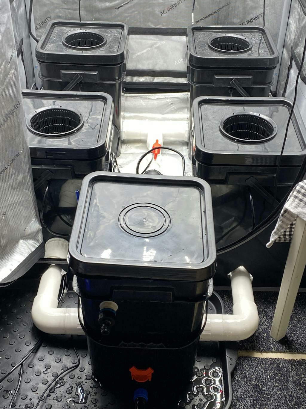 HYDROFLO 4-Pot RDWC Hydroponic System | Herbal House NZ