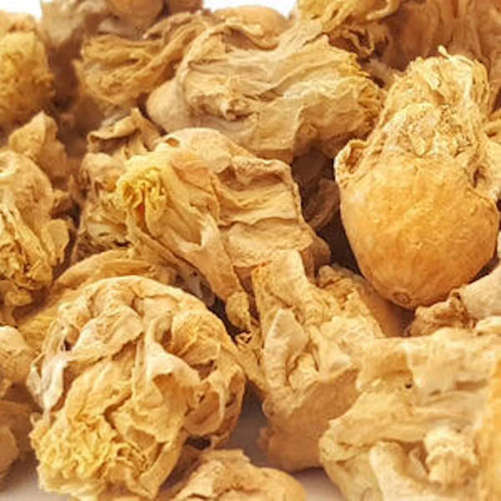 Dried Prickly Pear - Opuntia Dried Flowers - HerbalMansion.com