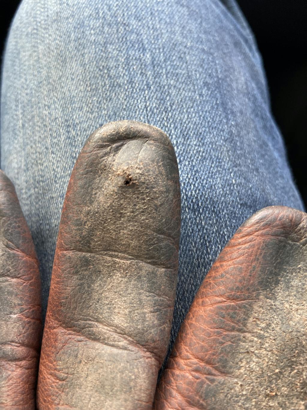 Midwest Glove - American Made Bison Leather Work Gloves — Herd Wear ...