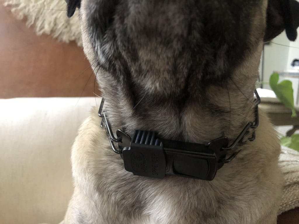 ULTRA-PLUS Training Collar with Center Plate, Assembly Chain, and Swiv