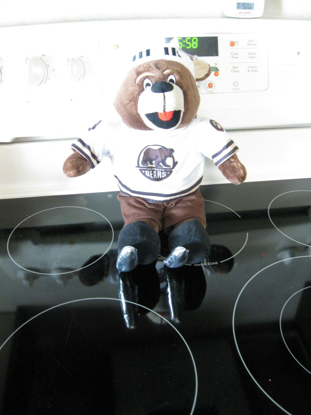 Hershey Bears Coco The Bear Plush