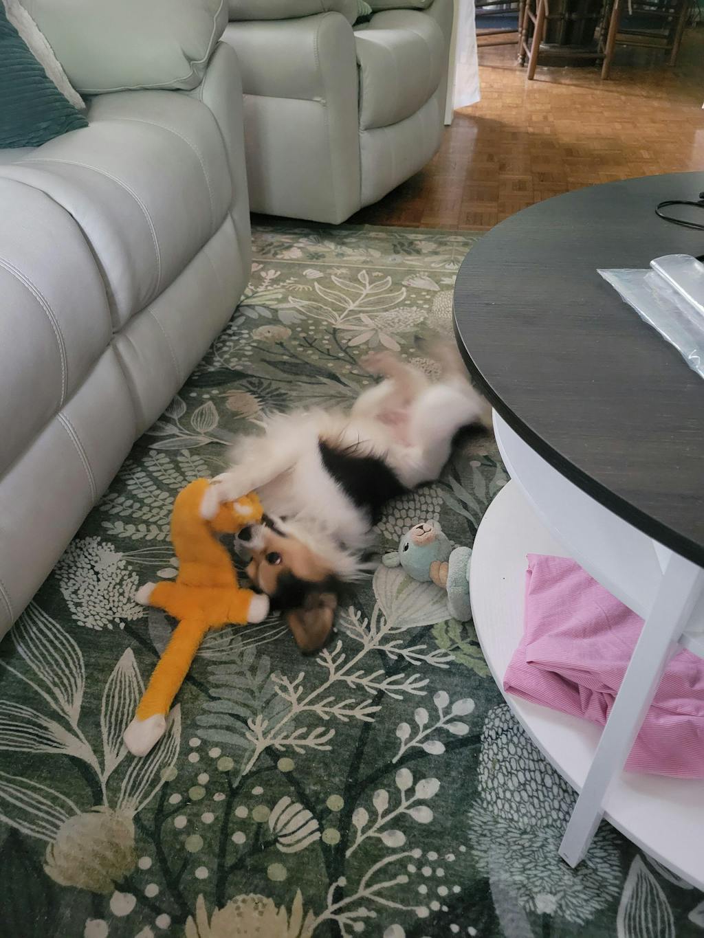 Silicone Custom – HeyBuddy Club