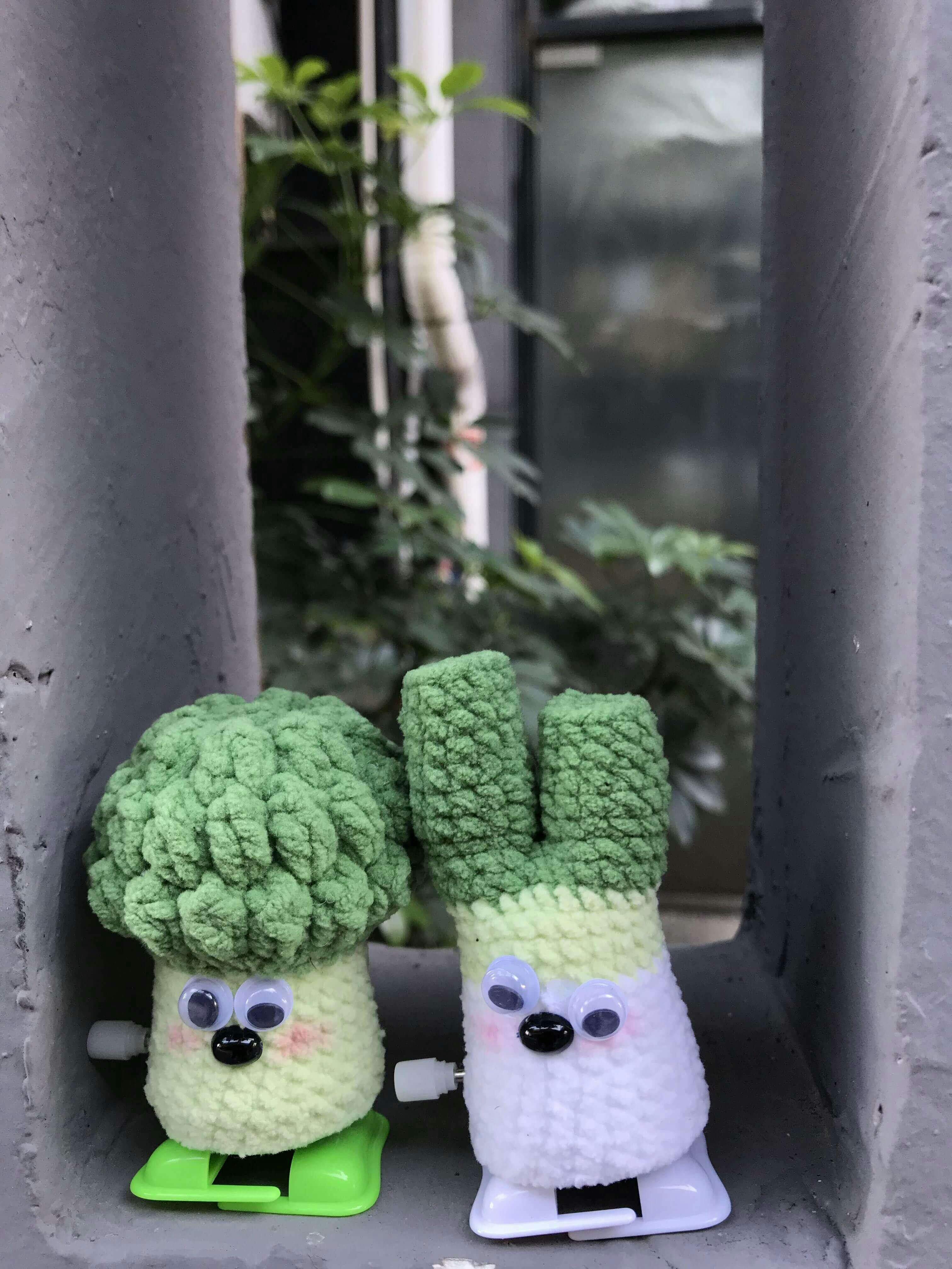 Crochet Kit Vegetarian Lovers Handmade Knitted Crochet Can Walking Veg