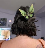 Pathysa antiphates claw