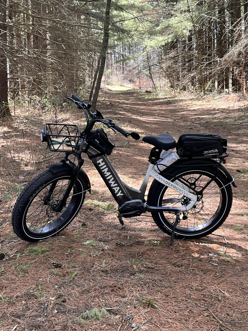 Himiway D5 (Zebra) | Premium All-terrain Electric Fat Bike